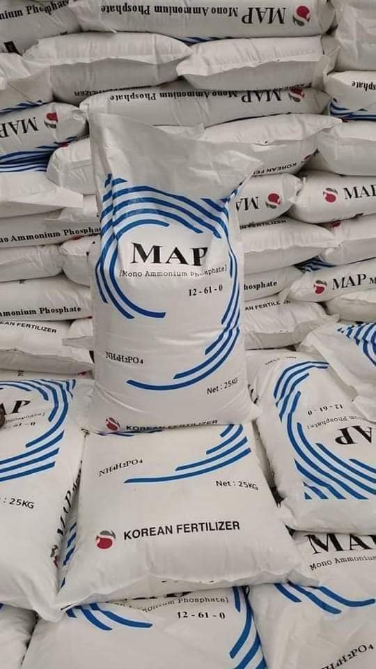 Mono Ammonium Phosphate 12.61.00 (MAP) 25KG - AgriBrilliance